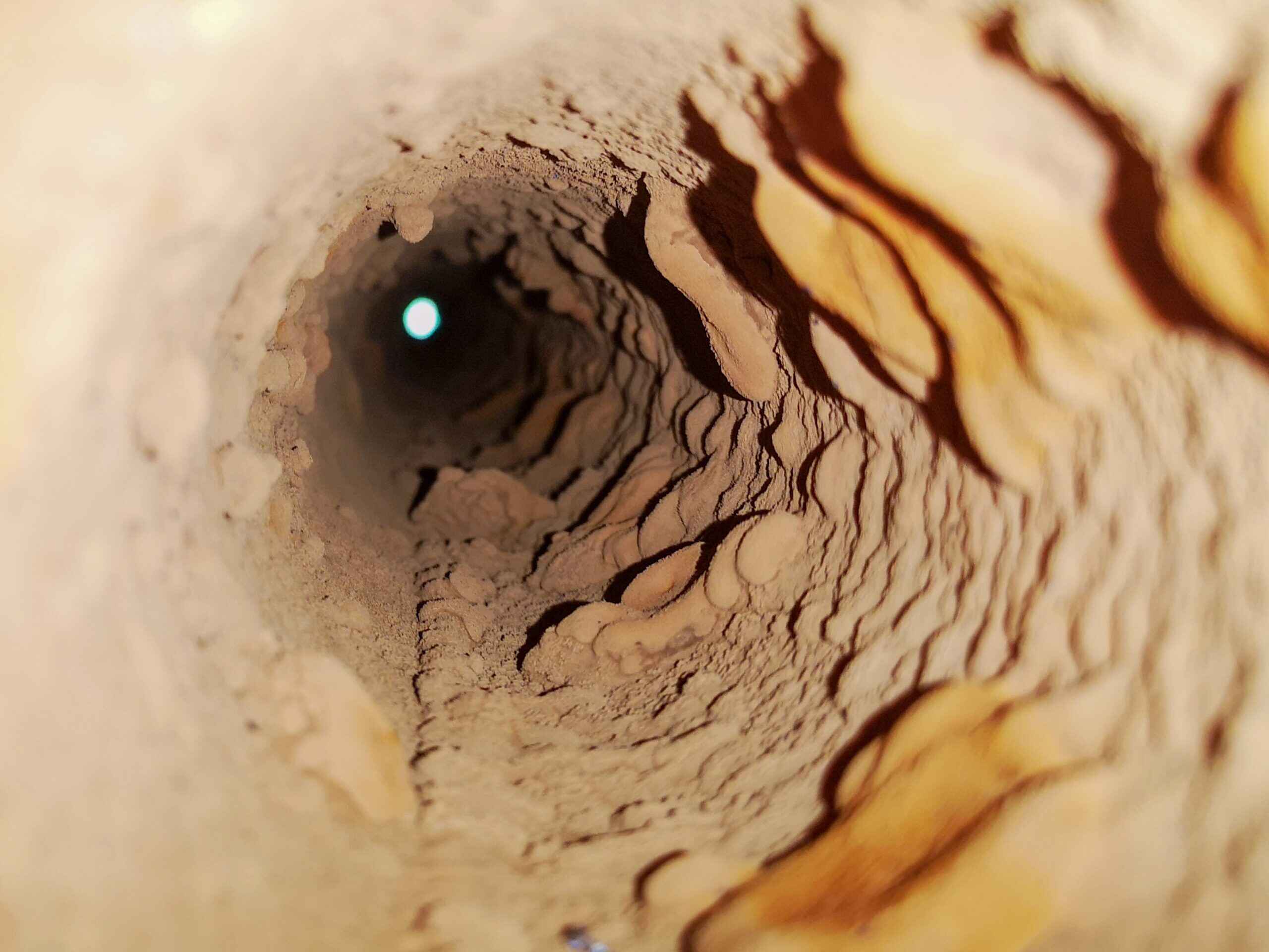 SNF Joins F.A.S.T. - SNF